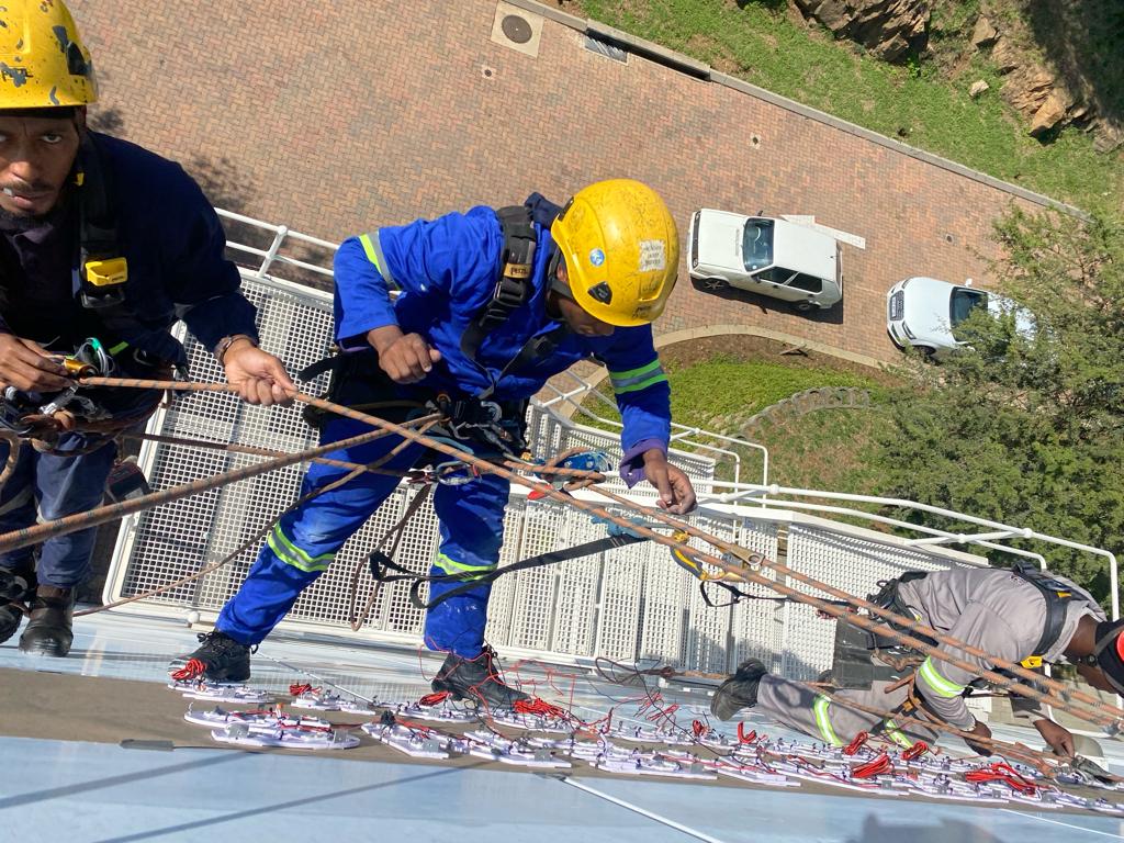 Home - Shape of Future